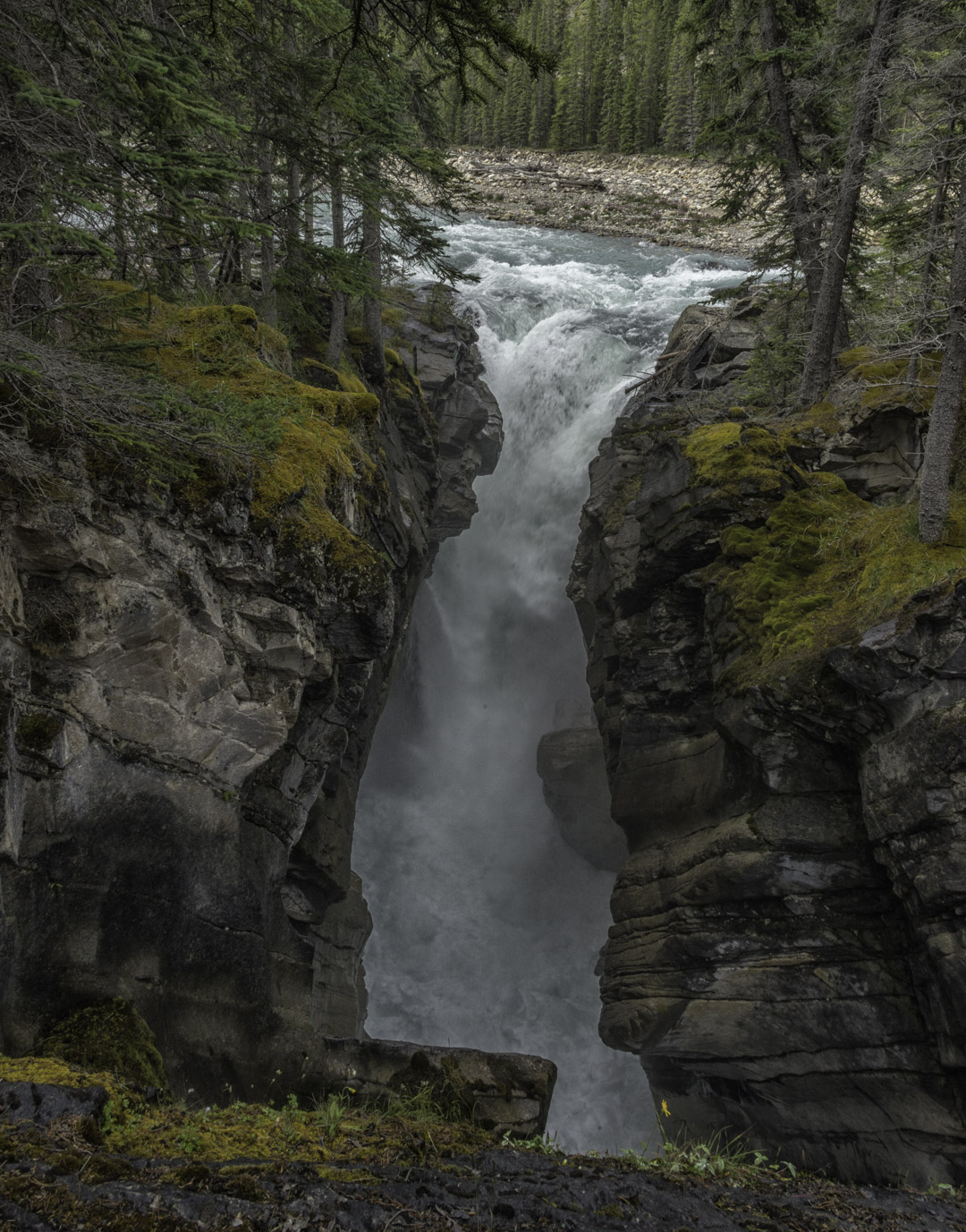 _DSC2128-216-217- ©Derek Chambers | Derek Chambers Photography